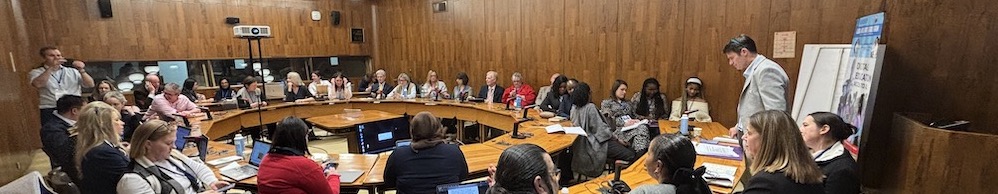 IFIP Think Tank Group Application - International Forums of Inclusion ...